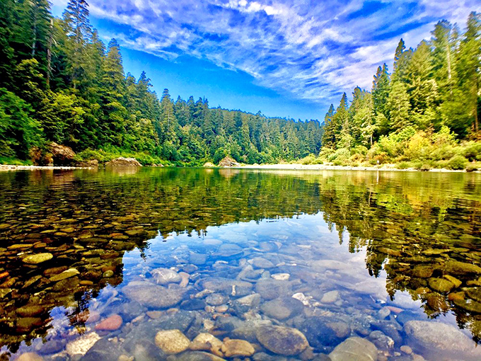 The Smith River reflects the forest like nature's own Instagram filter—impossibly blue skies meeting impossibly green trees in perfect harmony.
