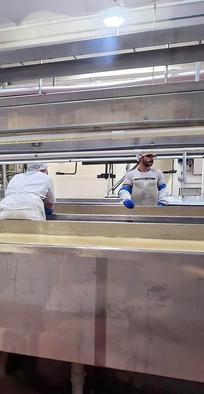 Cheese artisans at work in their natural habitat. These are the unsung heroes behind your midnight fridge raids and wine pairings.