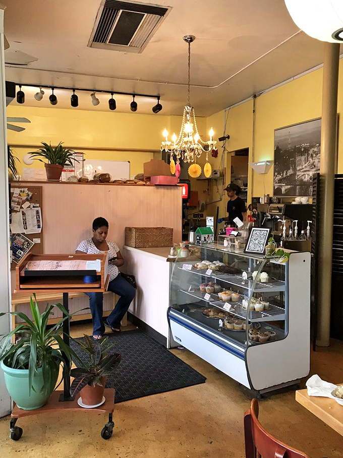 Behind the pastry case lies the promise of sweet endings to savory beginnings, with a chandelier that adds unexpected elegance to casual dining.