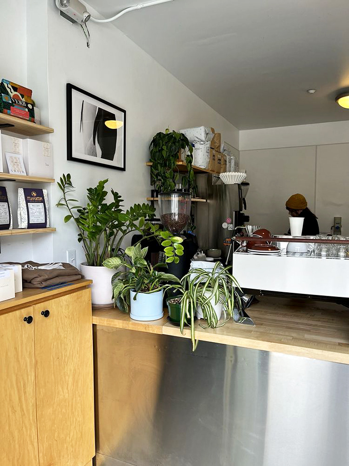 A jungle of greenery bringing life to the minimalist space. These plants aren't just decoration&mdash;they're silent partners in creating the cafe's serene atmosphere.