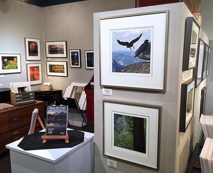Local artists capture Yosemite's grandeur in frames, offering pieces of paradise you can actually afford to take home. 