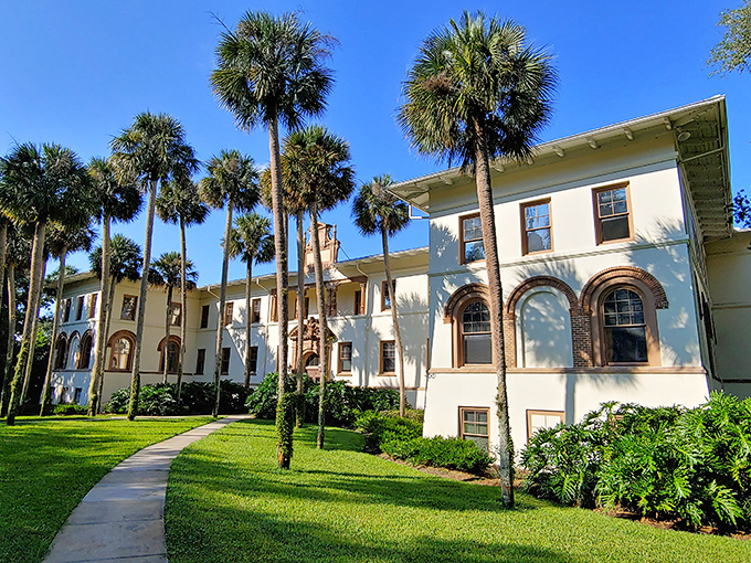 Stetson University's palm-lined walkways and Mediterranean-inspired architecture make higher education look like a resort vacation. Learning never looked so good.