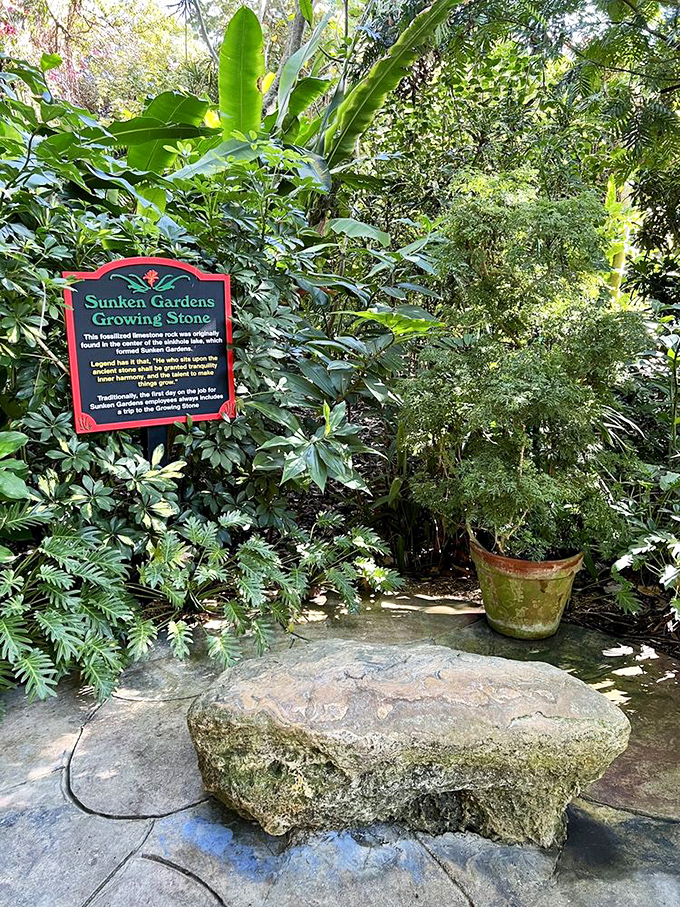 Ancient wisdom carved in stone, reminding visitors that good things grow with patience and care.