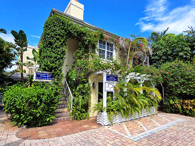 The Caribbean Court Boutique Hotel hides behind a jungle of tropical foliage, offering a secret garden escape that feels worlds away from cookie-cutter chain hotels.