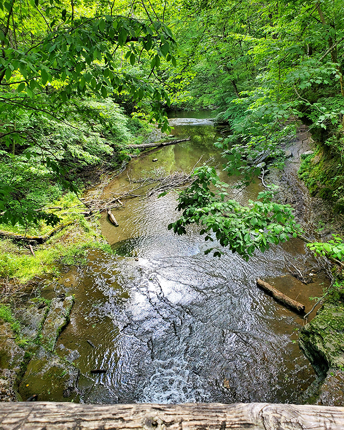 The Cascades offer nature's version of meditation&mdash;where the only soundtrack is rushing water and the occasional birdsong. Serenity now!