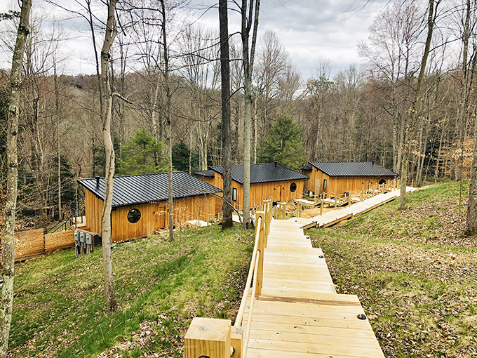 These woodland cabins look like they were designed by hobbits with excellent taste in modern amenities.