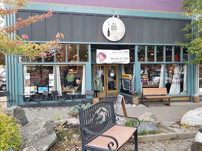 The Dog Spot welcomes both two-legged and four-legged customers – where shopping local comes with the bonus of potential canine companionship.