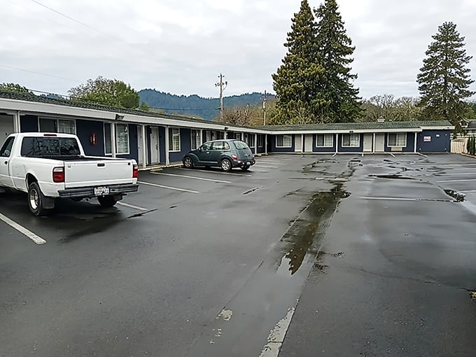 Classic roadside motels in Willits offer a nostalgic reminder of when road trips were about the journey, not just Instagram opportunities.