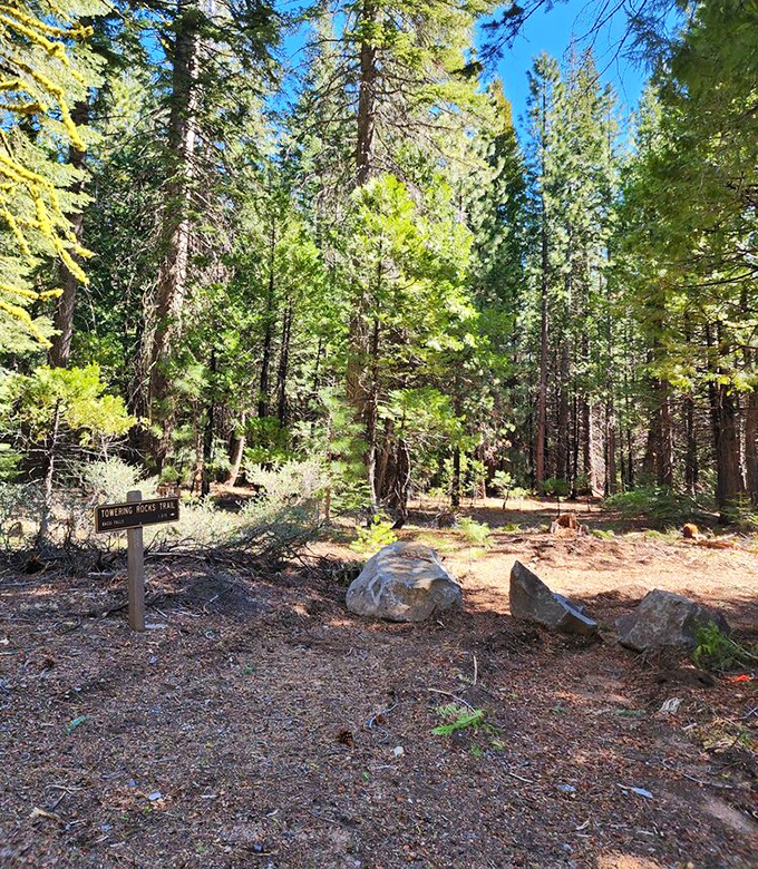 Follow the wooden sign to find your wild side. The Towering Rocks Trail beckons adventurers into a world where meetings and deadlines cease to matter.