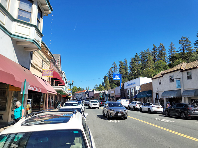 Downtown's tree-lined streets offer that perfect small-town vibe where parking is plentiful and nobody's honking&mdash;a California miracle.