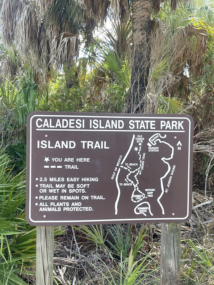 Trail maps: the original GPS system. This sign promises 2.5 miles of easy hiking and countless opportunities to pretend you're a nature photographer.