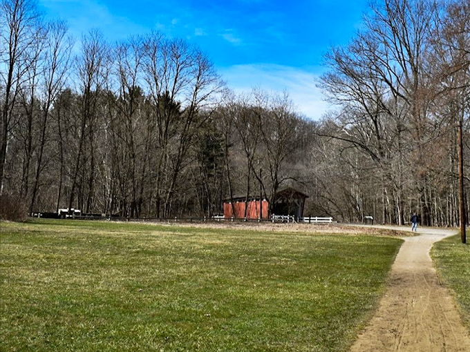 From a distance, the bridge appears as a tiny splash of red against the vast green canvas of Cuyahoga Valley National Park.