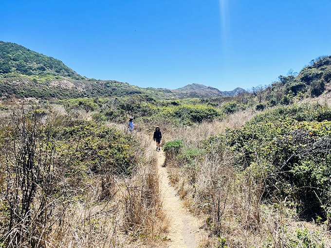 The path stretches ahead through golden California grasslands &ndash; each step bringing you closer to that waterfall you've seen on everyone's Instagram.