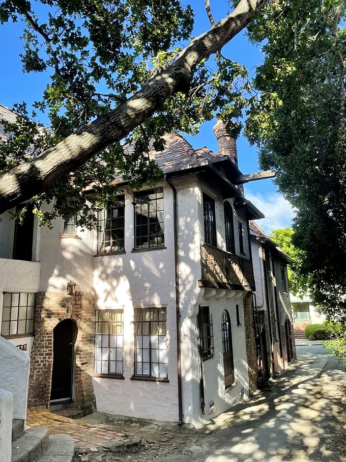 Dappled sunlight plays hide-and-seek through the branches, creating ever-changing patterns on walls that have witnessed decades of Berkeley's academic and cultural evolution.