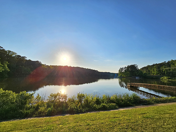 Golden hour perfection as the sun plays hide-and-seek with the treeline. This is nature's version of mood lighting, and it's spectacular.