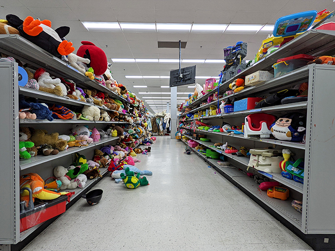 Stuffed animal adoption center where forgotten fuzzy friends wait for their forever homes. The nostalgia is both heartwarming and overwhelming.