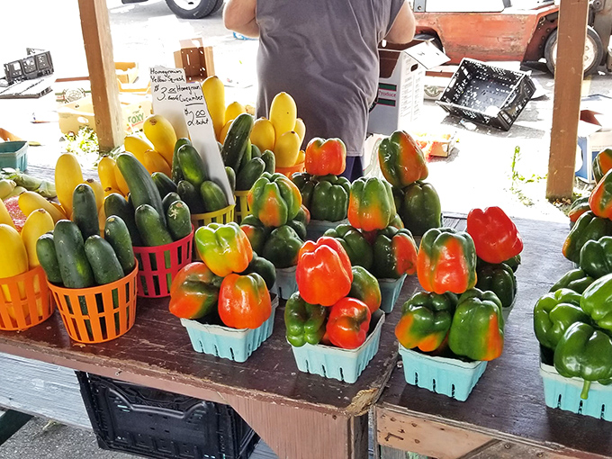 Garden-fresh goodness in technicolor! These peppers and zucchini bring farm-to-table realness to the market's "farm" component.