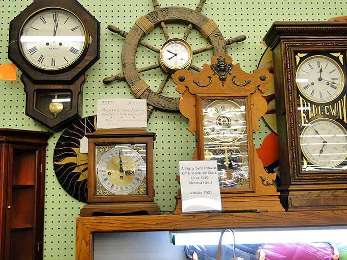 A collection of timepieces that have ticked through decades of history, each face telling more than just the hour.