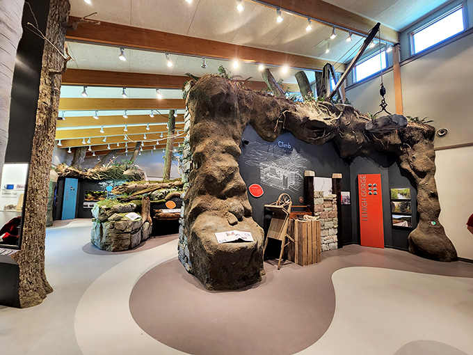 The visitor center brings the outdoors inside with creative exhibits. Even on rainy days, Hickory Run's natural wonders remain accessible.