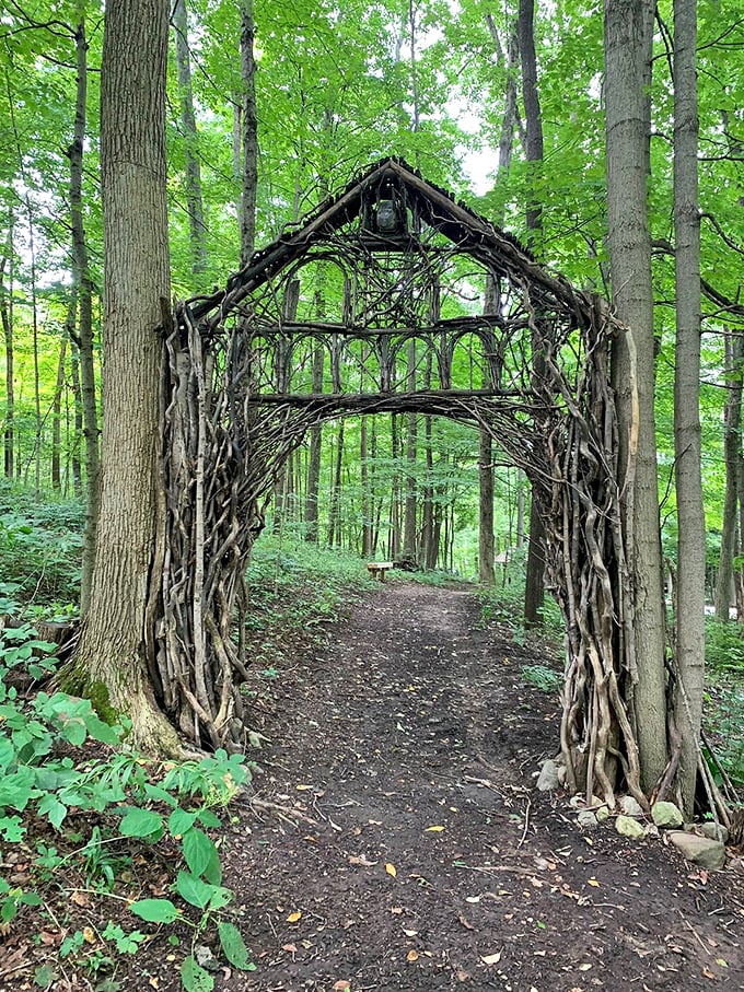 Mother Nature's architectural skills shine through this whimsical woodland archway, inviting hikers to step through into a fairy tale forest beyond. 