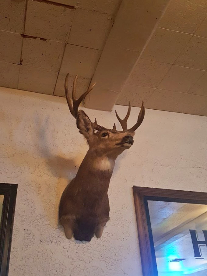 This deer head has witnessed thousands of first bites and the wide-eyed expressions that follow. Silent sentinel of Sacramento's culinary landmark.