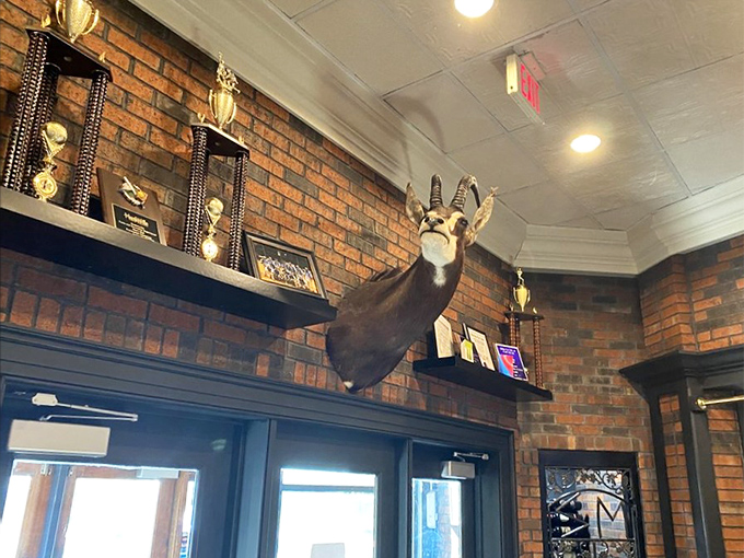 The mounted antelope head watches over diners like a safari guardian, finally explaining the restaurant's name in one quirky decorative touch.