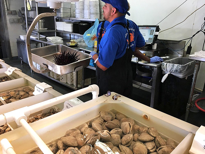 Shellfish heaven! These bins of clams are like nature's treasure chests, just waiting to become someone's chowder, linguine, or happy hour special.