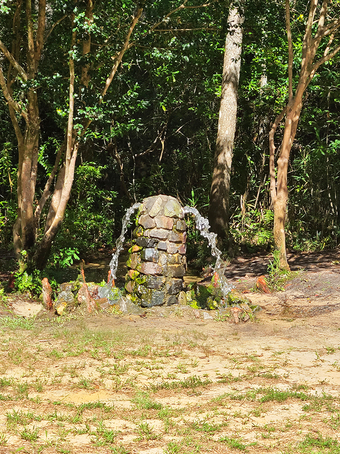 The original drinking fountain, no plastic bottles required. This artesian well represents hydration as nature intended, minus the fancy marketing campaigns.