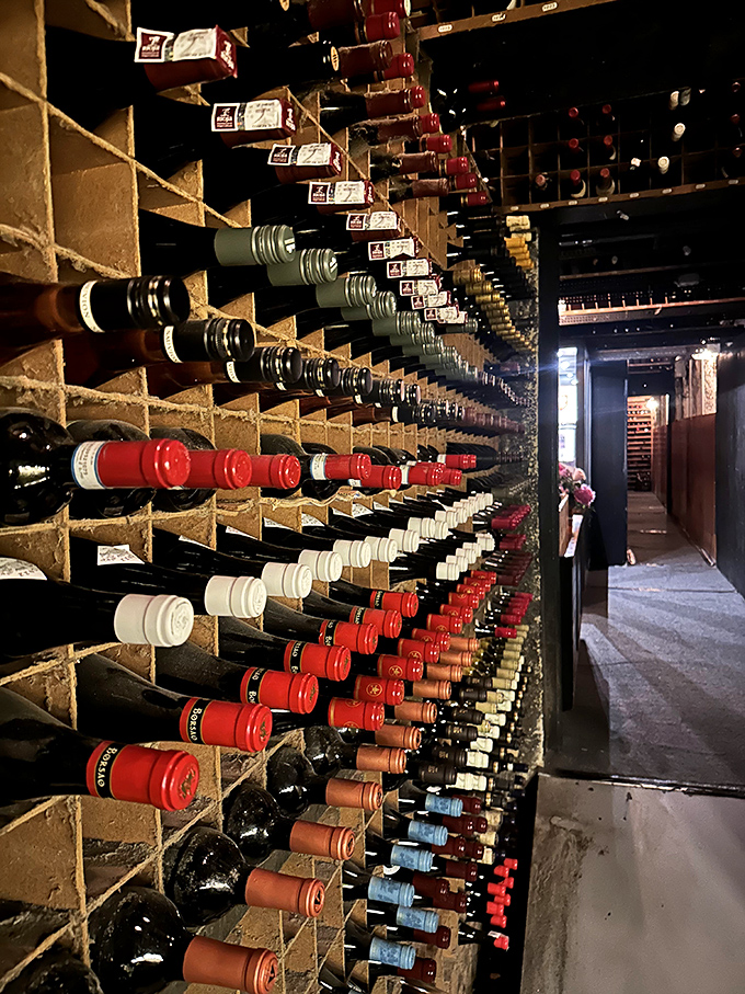 The wine cellar isn't just impressive; it's practically a library of fermented grape history. Some bottles here remember when disco was new.