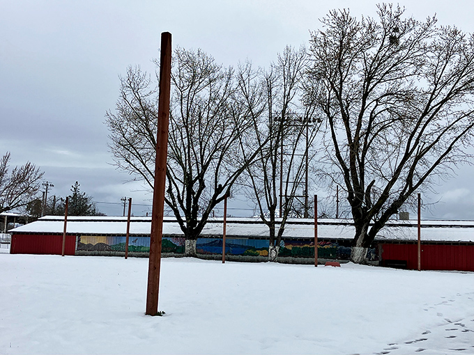 Occasional snow visits Lakeport like that relative who drops by just long enough to be charming before heading back north.