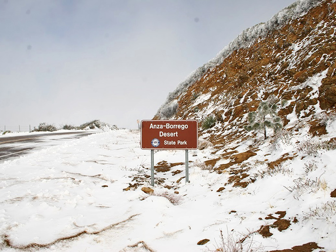Snow in the desert? Mother Nature occasionally throws plot twists even at Anza-Borrego, turning the familiar into something magical.