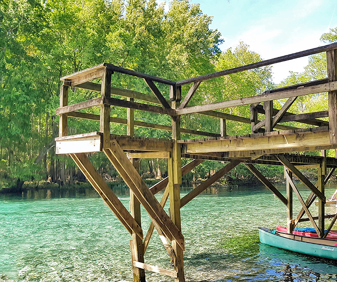 The diving platform offers a perfect vantage point for both brave jumpers and those content to simply admire the impossible clarity below.