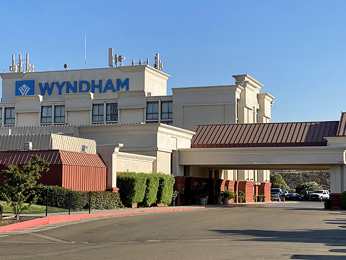 Chain hotels that provide familiar comfort at prices that won't shock your accountant.