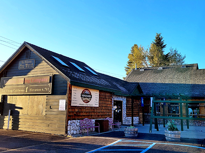 The Yosemite Trading Company offers essentials with mountain-town flair. No big-box stores here—just the basics wrapped in cedar-scented charm.