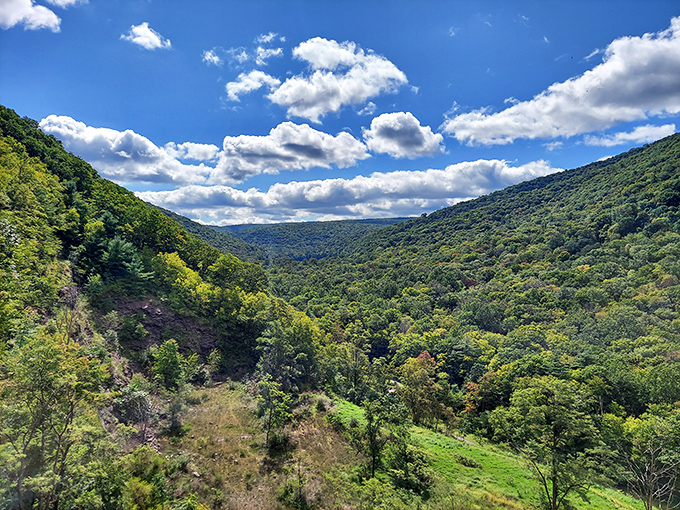 The lush valleys surrounding Lock Haven offer the kind of green therapy that makes retirement in Pennsylvania feel like you've discovered America's best-kept secret. 
