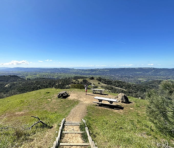 Picnic tables with million-dollar views where your sandwich tastes inexplicably better than it did when you packed it this morning.