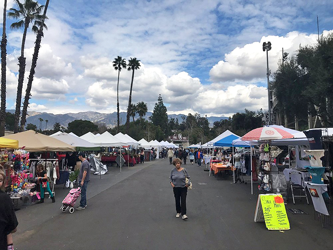 The calm between shopping storms. Palm trees and mountains frame this quintessential California scene where treasure hunters plot their next move.
