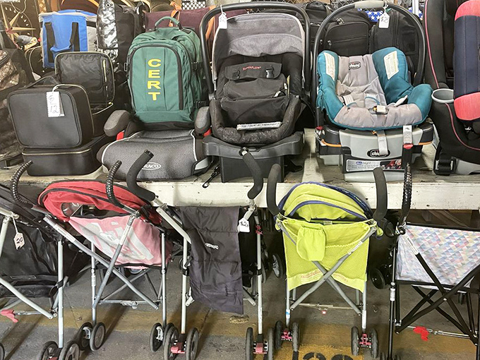 Baby gear bonanza! Everything a tiny human needs for maximum mobility, minimum fuss, and moderate parental sanity.