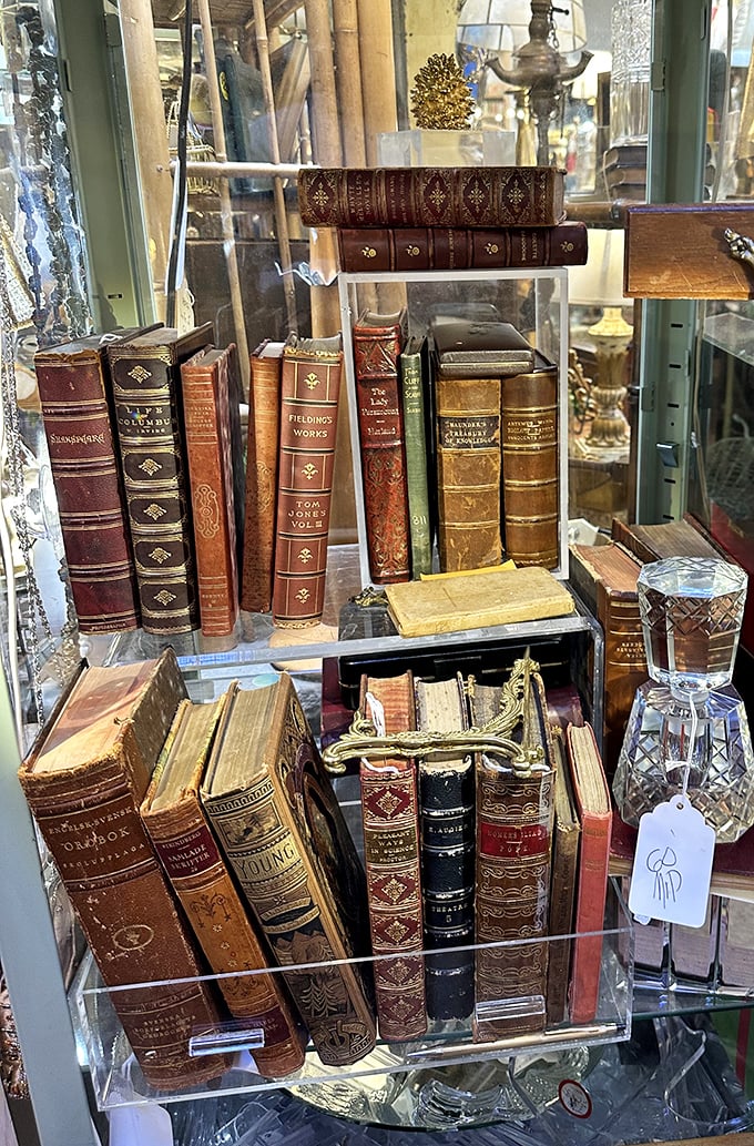Leather-bound classics rest in glass cases, their golden spines promising wisdom from generations past.