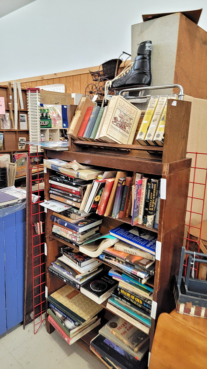 This bookshelf holds more stories than just those printed on the pages. Each worn spine represents someone's favorite escape, now waiting for a new reader.