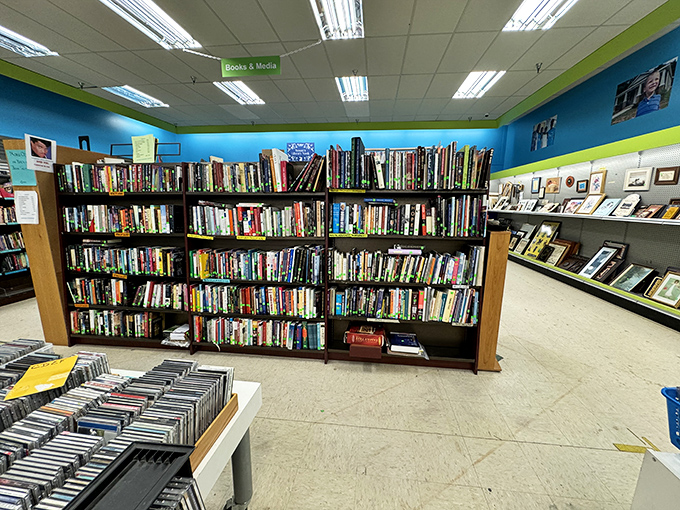 Books that have educated, entertained, and occasionally propped up wobbly furniture now await their next reader in this literary adoption center.