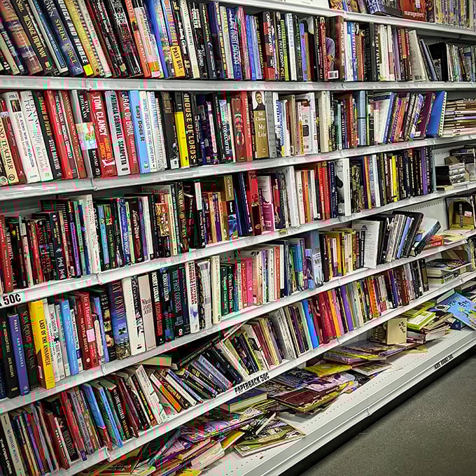 The book section rivals your local library, minus the late fees. Literary treasures hiding between forgotten bestsellers and coffee table tomes.