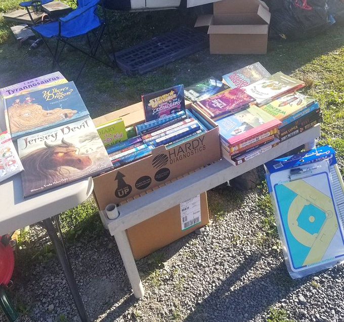 Literary treasures stacked with care. From Hardy Boys mysteries to Jersey Devil lore, these dog-eared pages hold adventures waiting to be rediscovered.