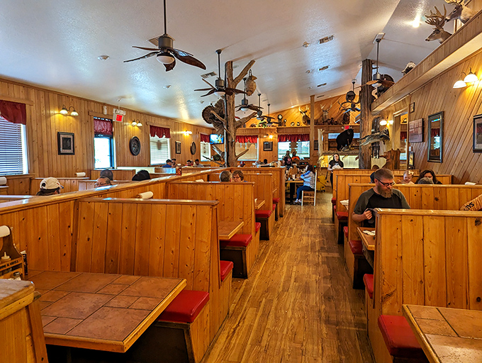 Booths designed for serious eating business. Red cushions that have supported countless happy customers through their barbecue journeys.