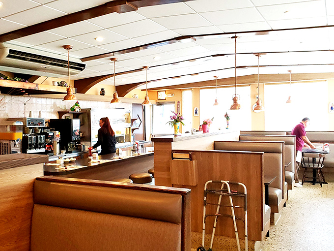 Booths: the introvert's sanctuary in the diner universe. These caramel-colored havens have witnessed first dates, business deals, and countless "should we split dessert?" negotiations.