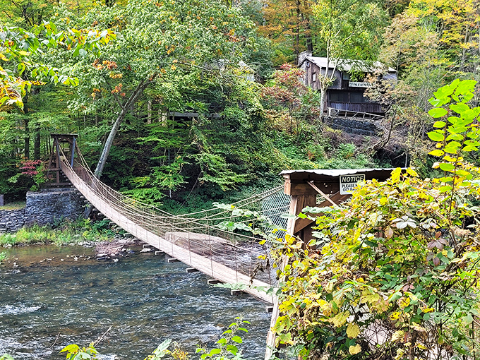 This suspension bridge isn't just crossing water &ndash; it's crossing from everyday life into pure adventure. Indiana Jones would approve.