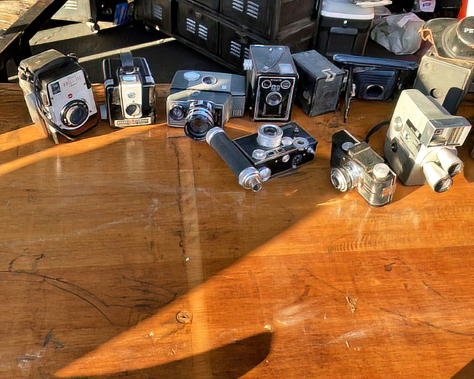 Vintage cameras line up like eager time travelers, their mechanical eyes having witnessed decades of moments both mundane and extraordinary.