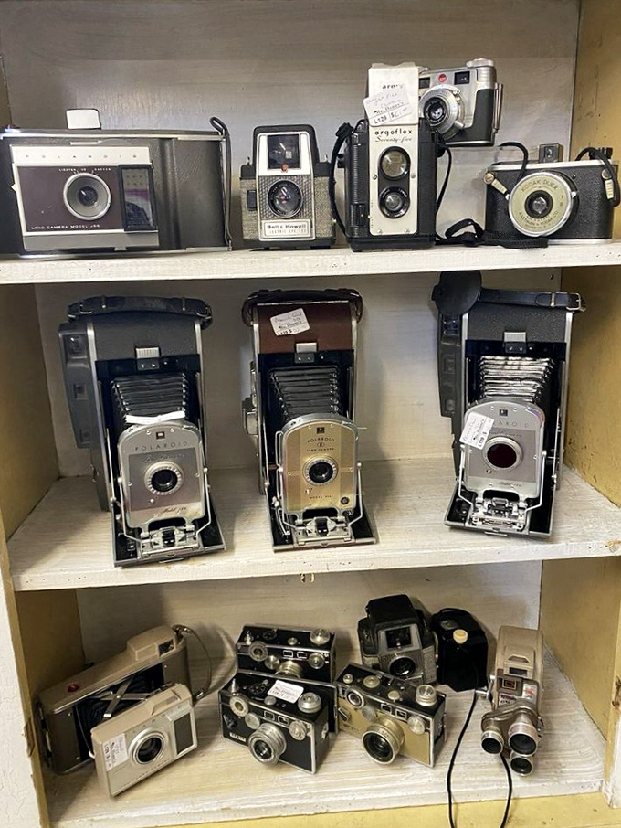 Camera collection that captures more than images—it preserves the evolution of how we've seen ourselves for nearly a century.