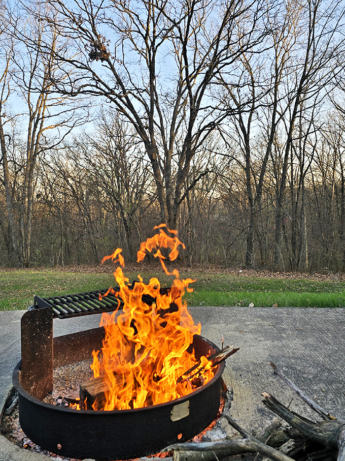 Campfires at Thousand Hills transform ordinary evenings into primal gatherings where marshmallows meet their delicious destiny.