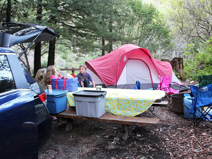 Camping among the redwoods: where your tent becomes a tiny neighbor to nature's skyscrapers and picnic tables become five-star dining.